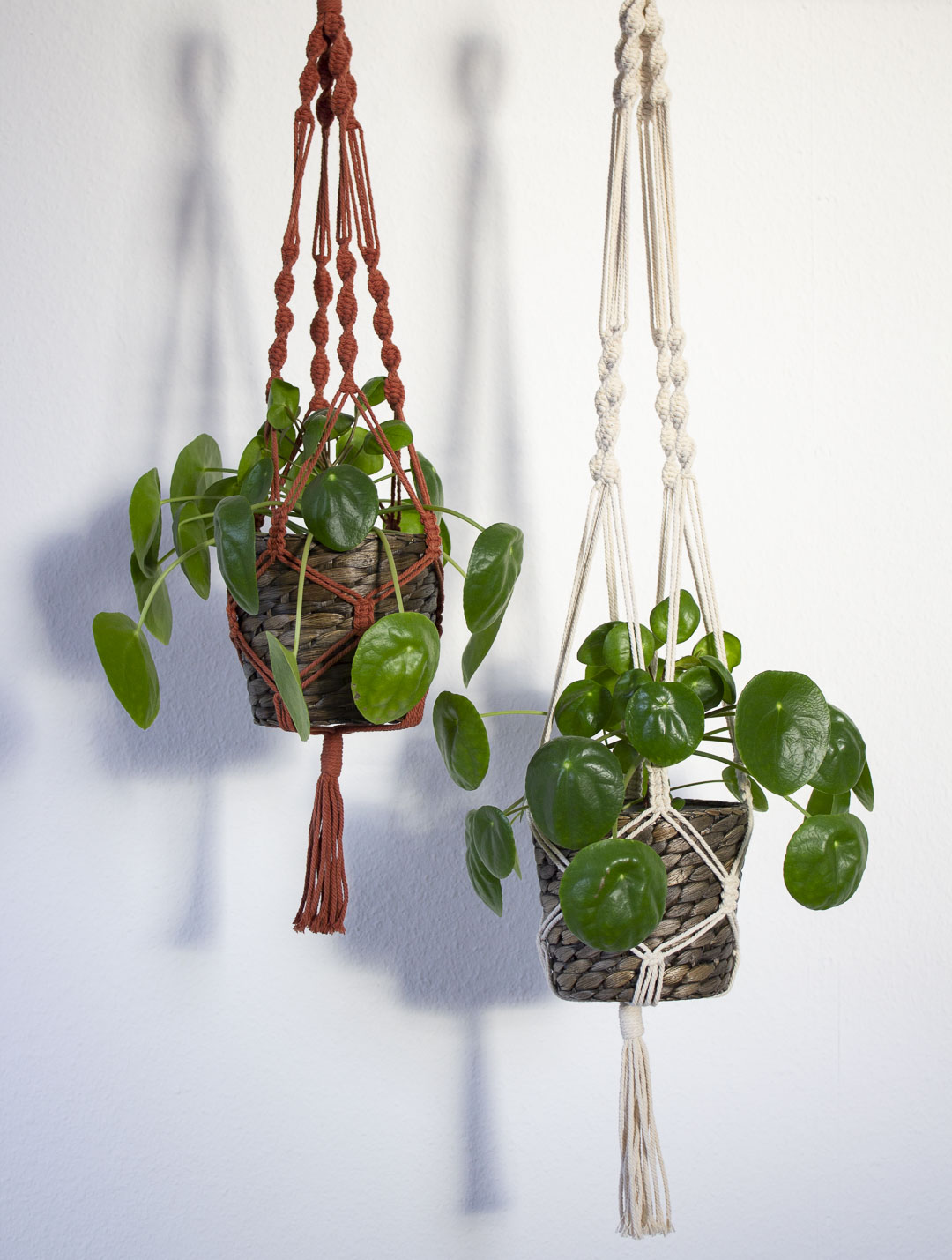 Makramee Blumenampel Selbst Machen